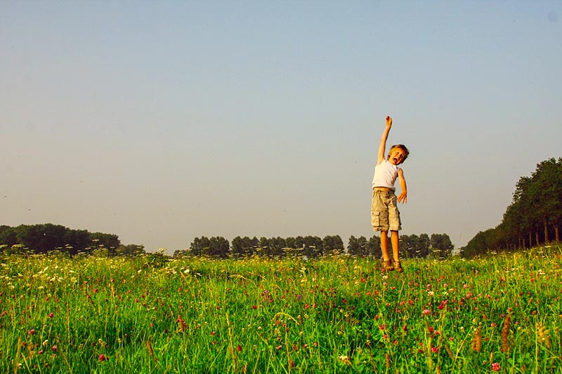 Grass Allergy Top Tips To Manage Your Grass Pollen Allergy